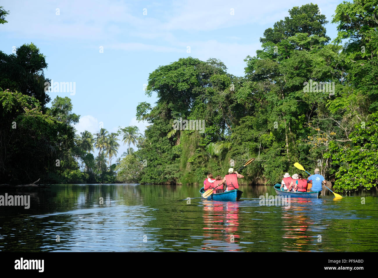 Canoe tour in tortugero Stock Photo - Alamy