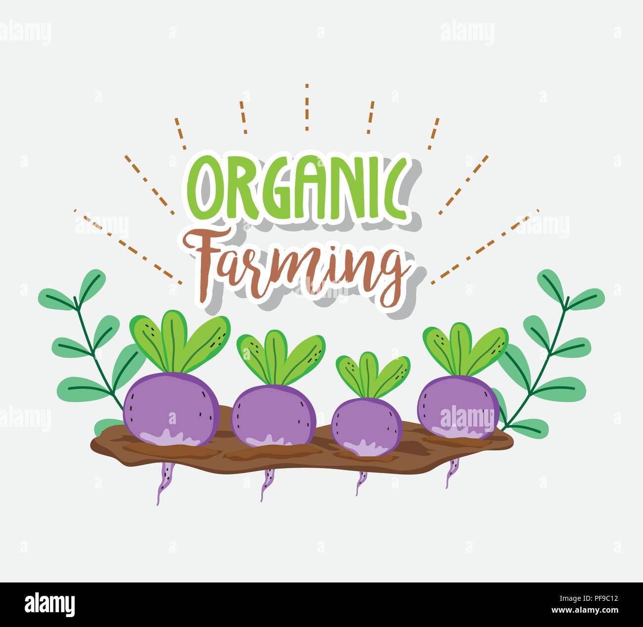 Organic farming cartoons Stock Vector Image & Art - Alamy