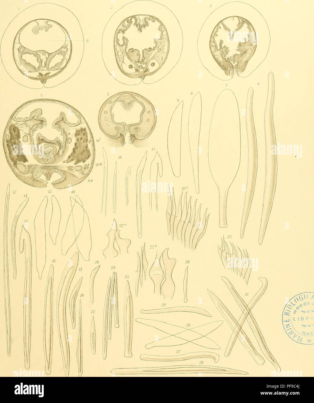 This record from the German South Polar Expedition (1901-1903 ...
