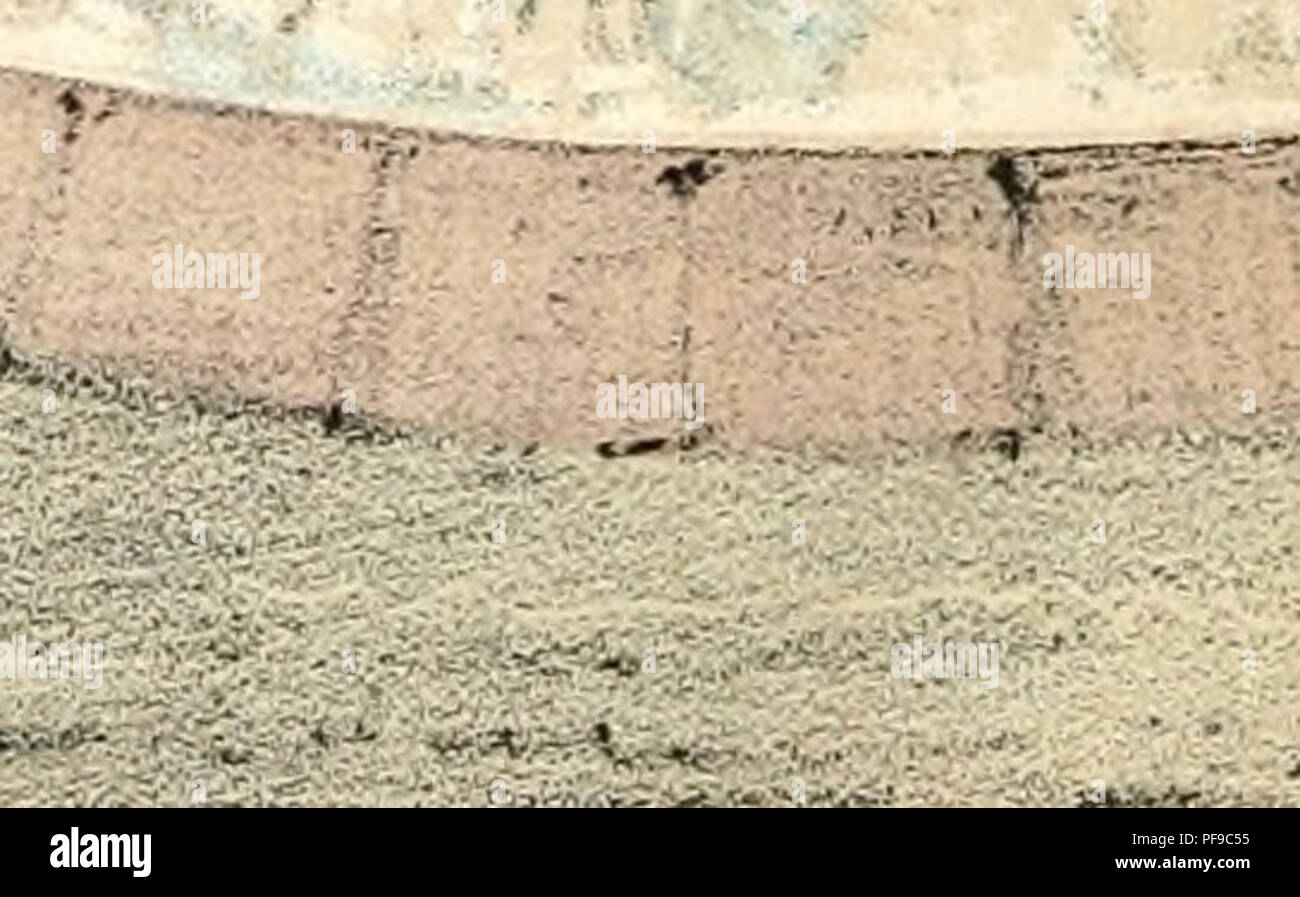 This German gardening magazine provides horticultural advice and ...