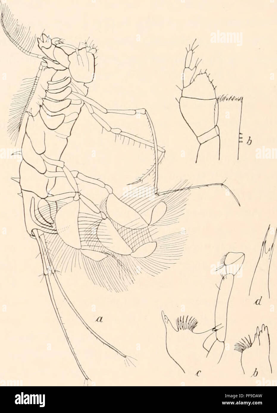 112 x 113 x 16 mm hi-res stock photography and images - Alamy