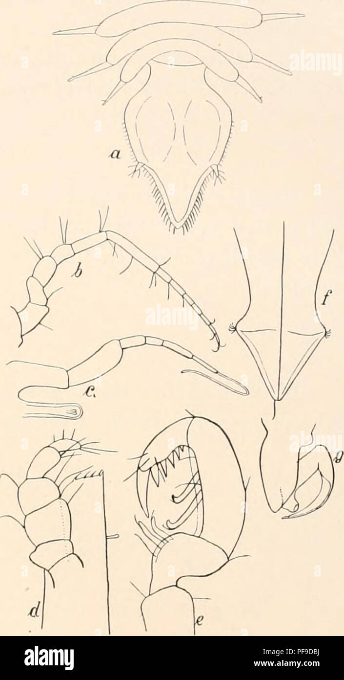 This expedition, conducted between 1901 and 1903 under the direction of ...