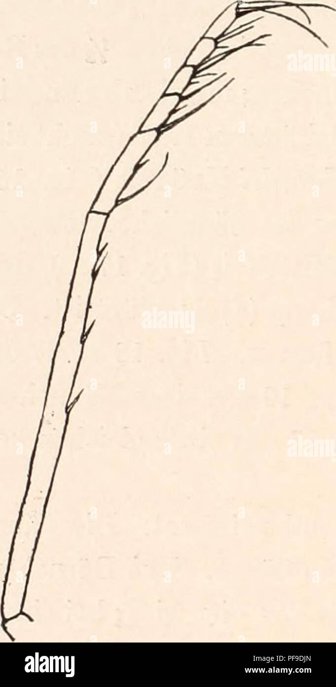 This expedition document from 1901-1903 details the scientific findings ...