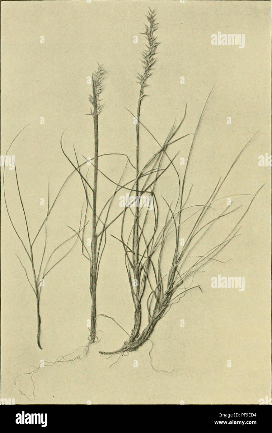 Wasserfarmen hi-res stock photography and images - Alamy