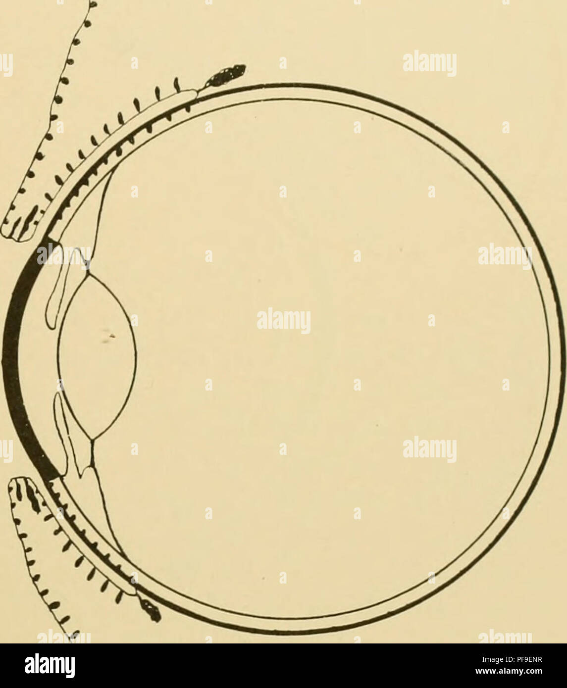 The German South Polar Expedition (1901-1903) was a scientific ...