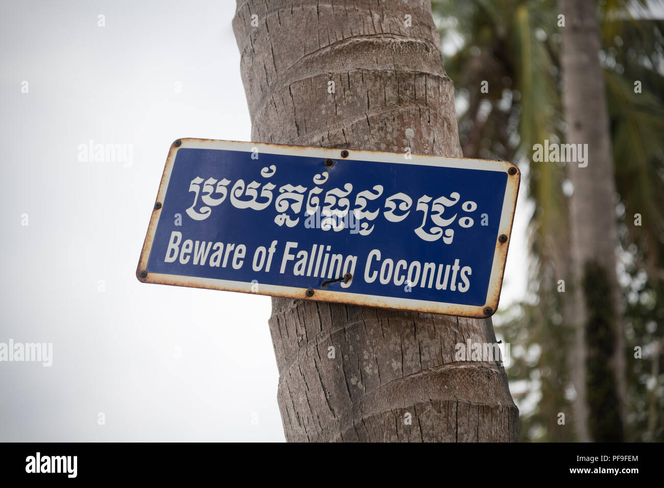 Falling coconut sign hi-res stock photography and images - Alamy