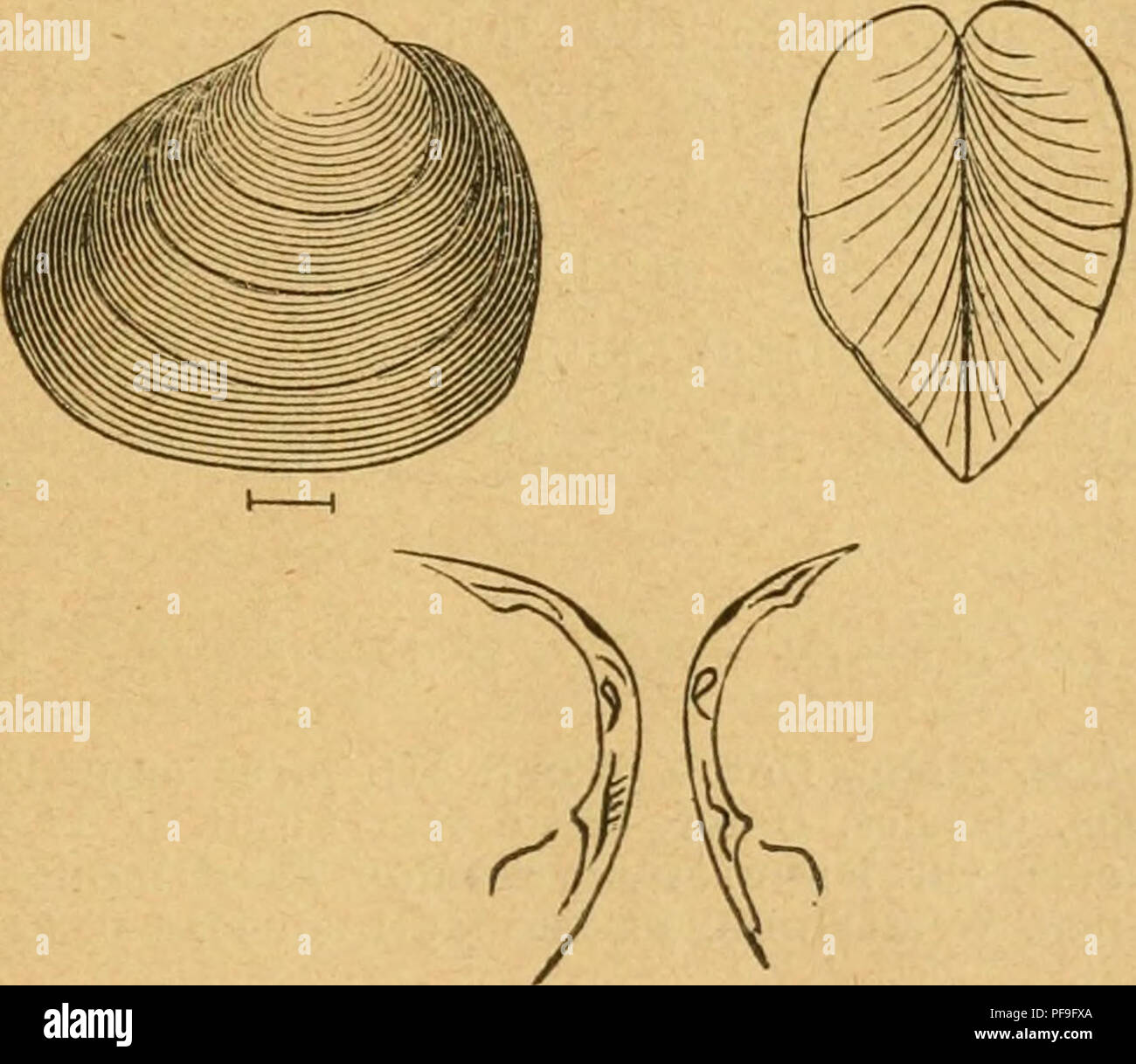 Ansteigend hi-res stock photography and images - Alamy