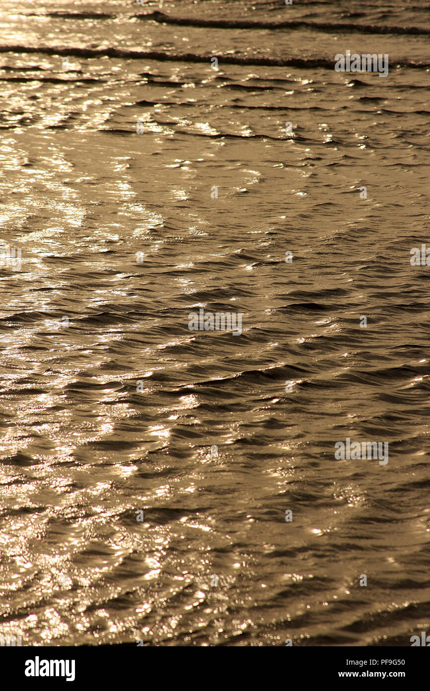 Low tide calm ocean water by the shore. Virginia Beach, USA Stock Photo ...