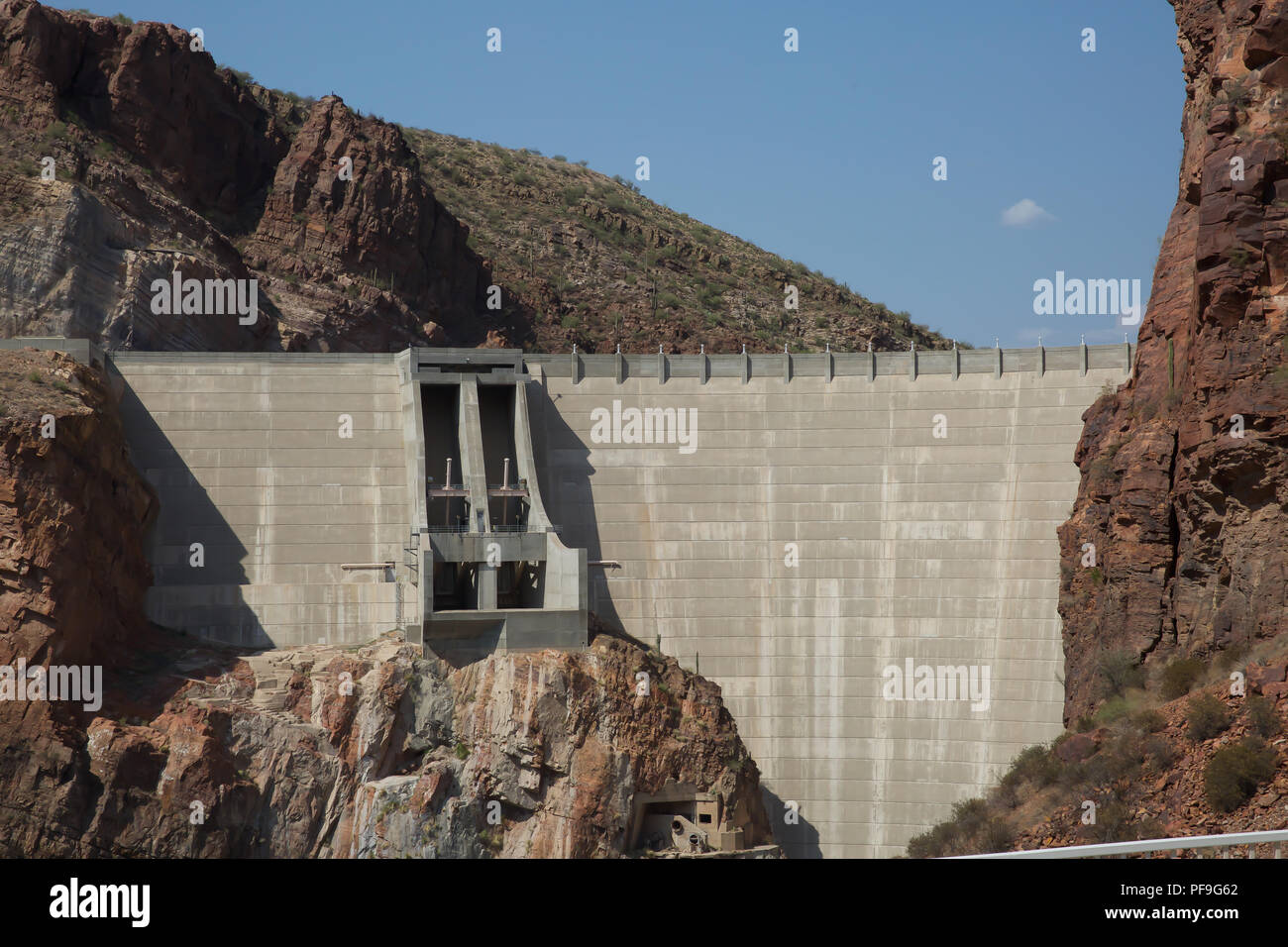 Arizona sand snake hi-res stock photography and images - Alamy