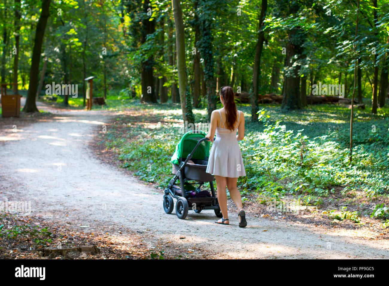 Back view of the girl walking with the stroller, young mother on the ...