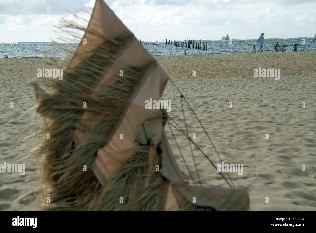 Beach at First Landing State Park, USA Stock Photo - Alamy