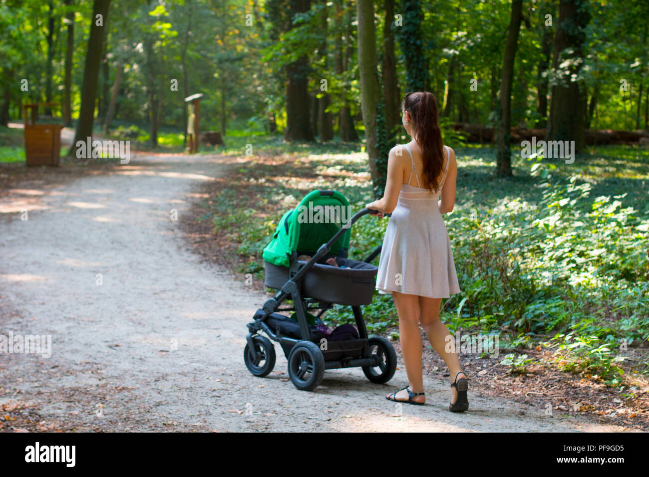 Pram walking back view, rear back view of attractive woman in stylish ...