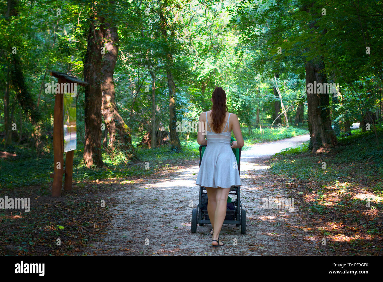 Back view of girl walking the pram in the park walkway, mother in dress ...