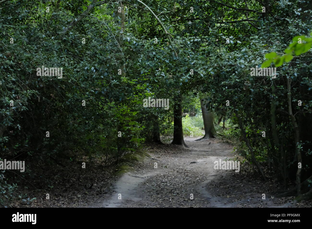 Pathway track hi-res stock photography and images - Alamy
