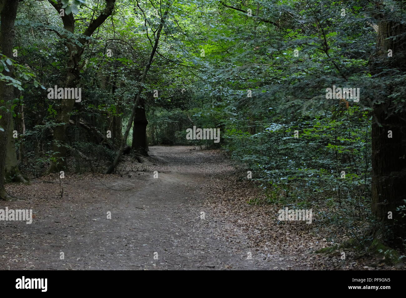 Pathway track hi-res stock photography and images - Alamy