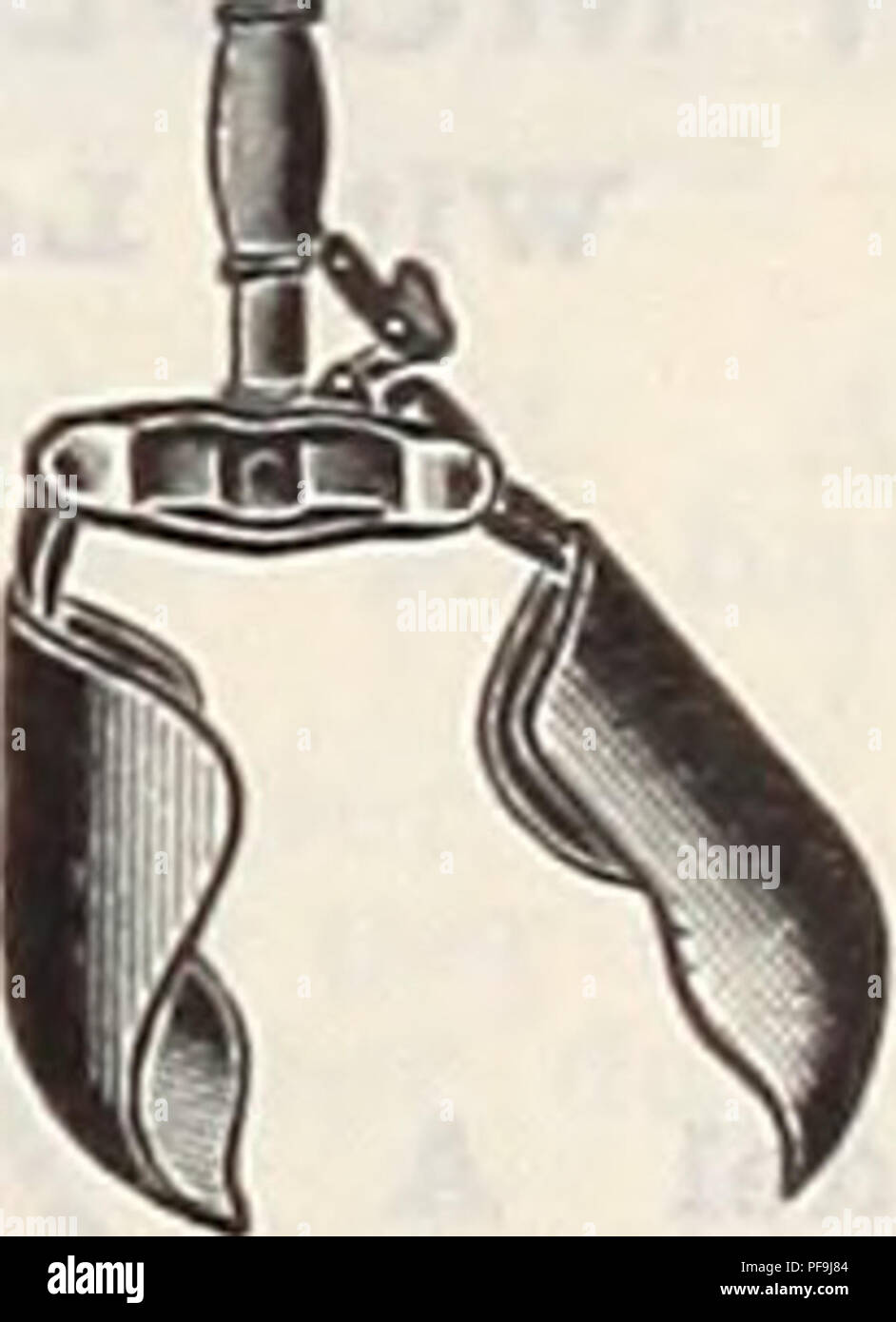 This anniversary catalog offers a variety of gardening tools and ...