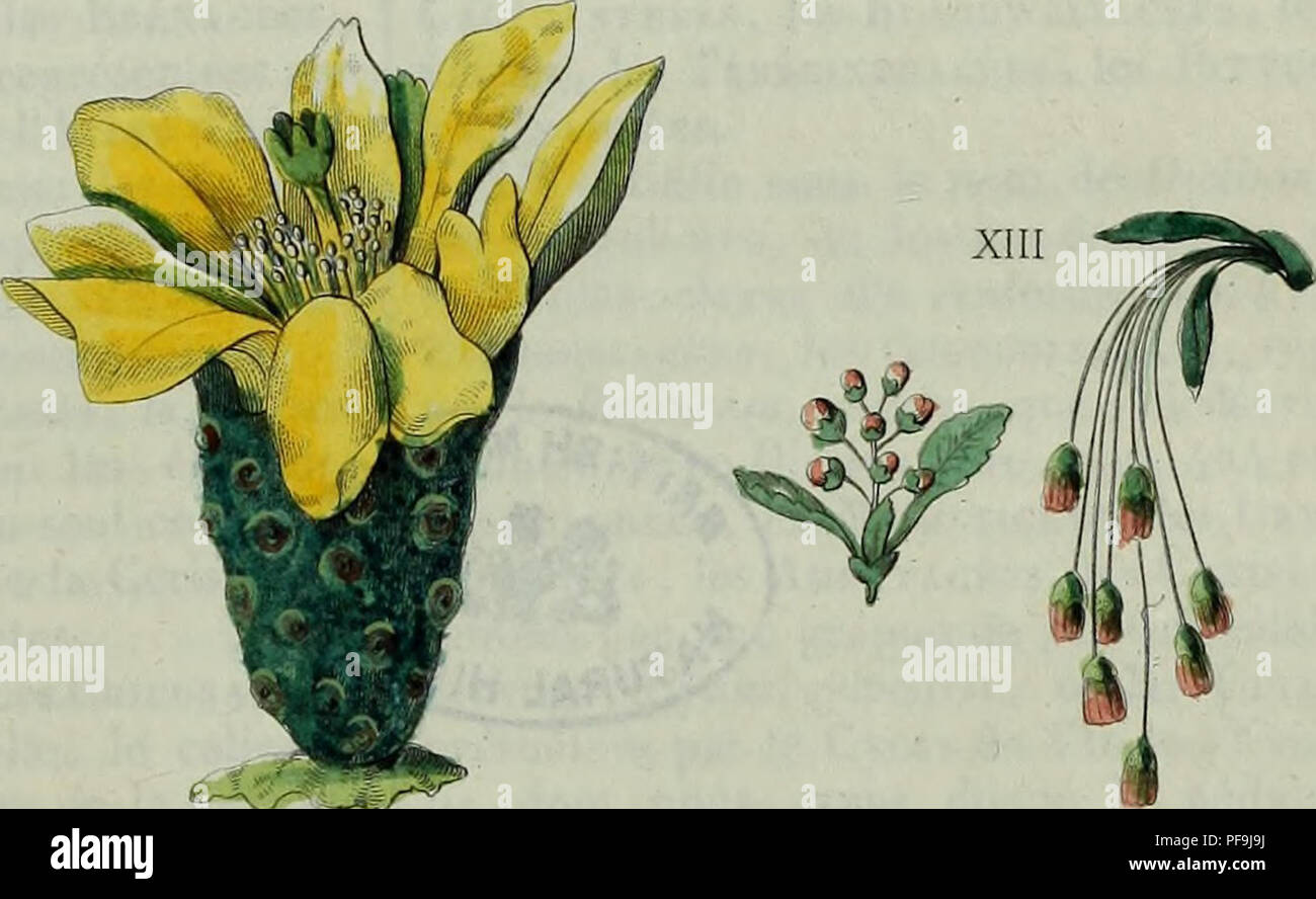 This French dictionary provides a visual and descriptive guide to ...