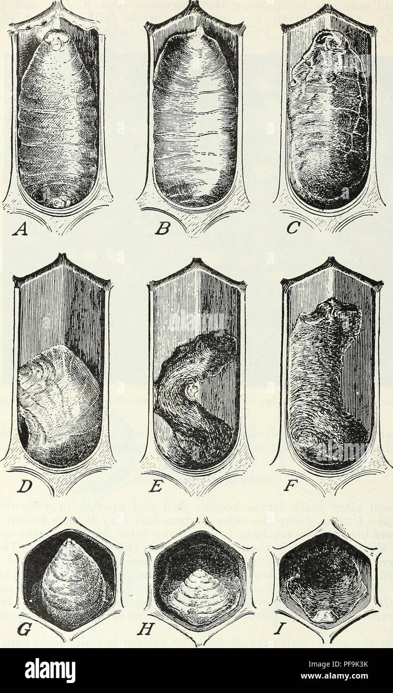 This image from the U.S. Department of Agriculture illustrates the ...