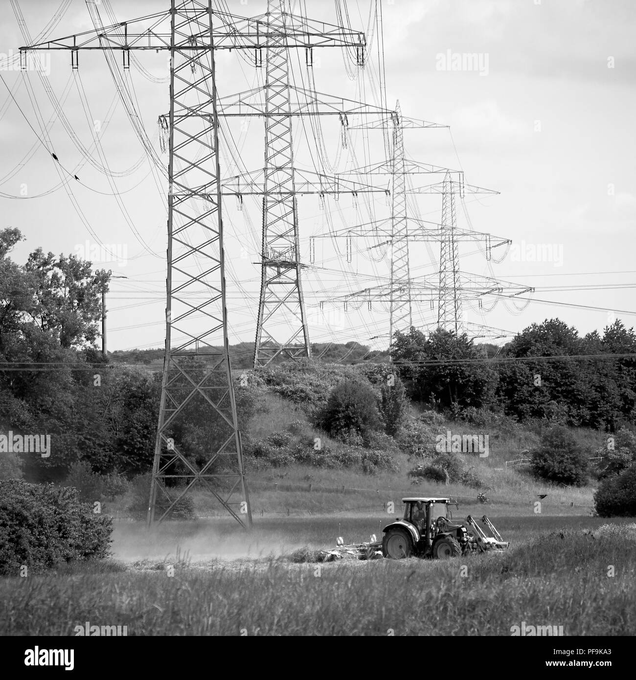 Farming under the pylons. Nature being tamed by industry Stock Photo ...