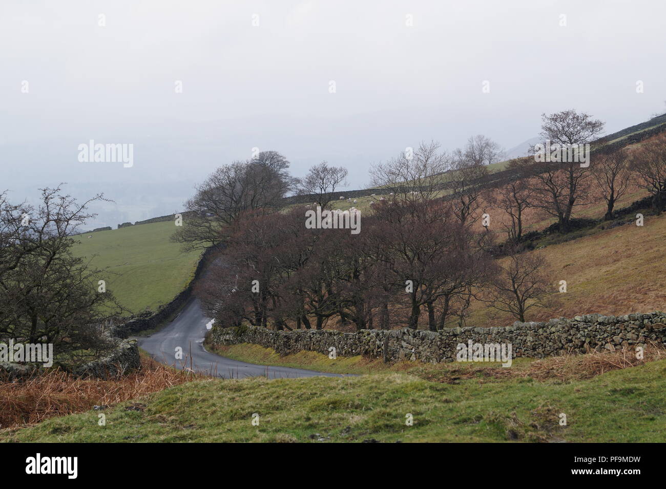 Country stone road hi-res stock photography and images - Alamy