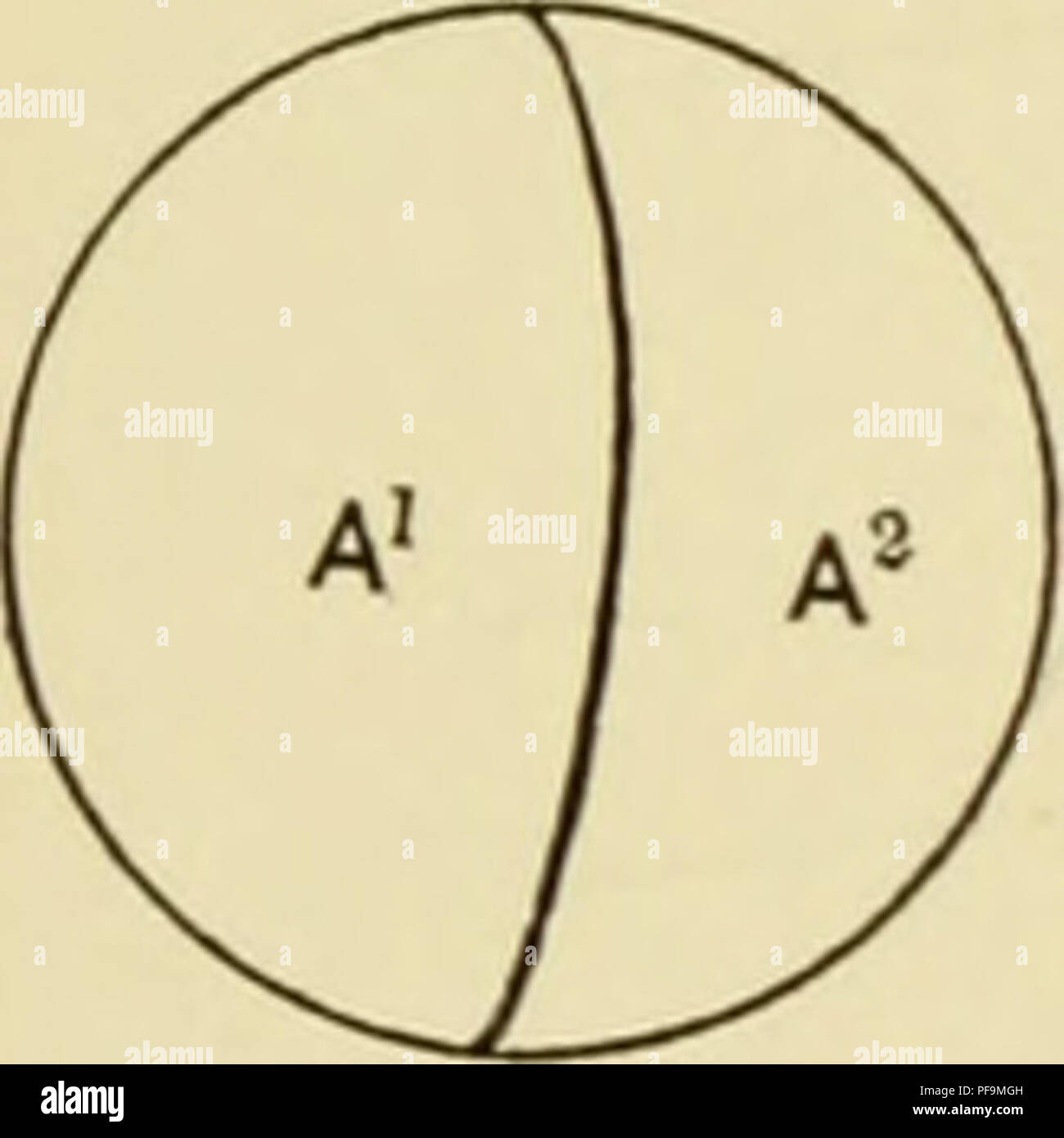 A scientific study by Thomas Hunt Morgan introducing the experimental ...