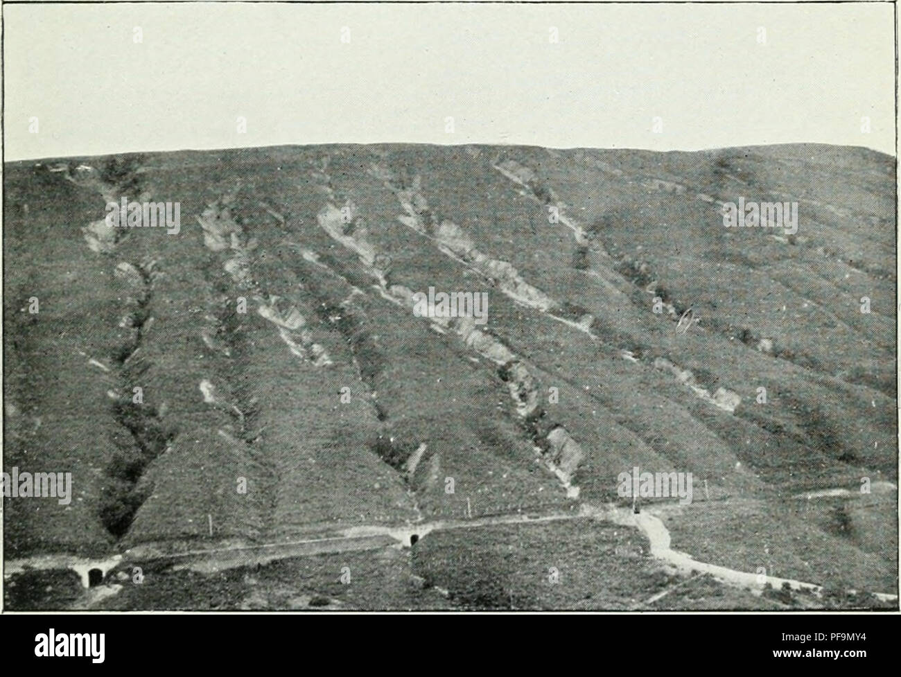 This book provides an overview of British forestry, including the ...