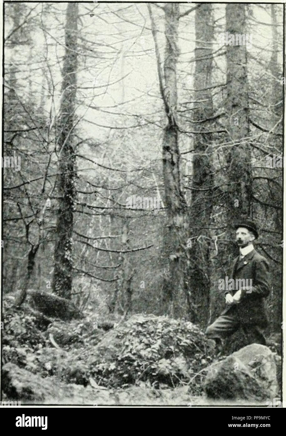 This work outlines the development and practices of British forestry ...