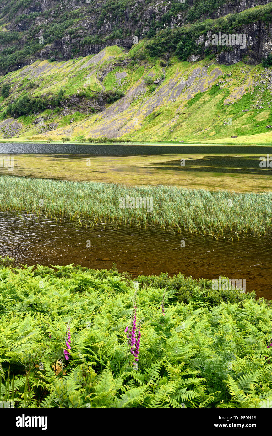 Detail of Loch Achtriochtan on the River Coe in green Glen Coe valley ...