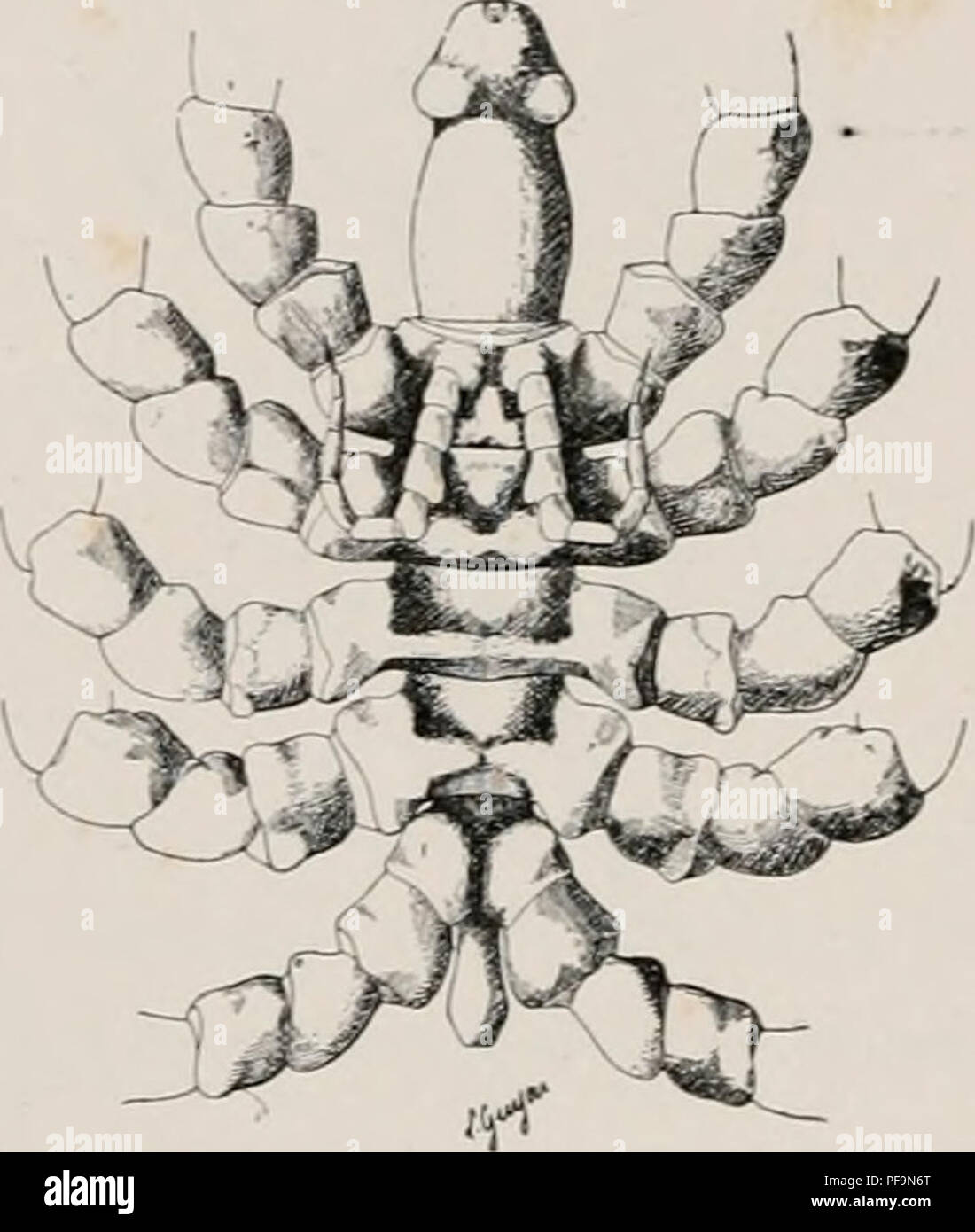 . DeuxiÃ¨me expÃ©dition antarctique francaise (1908-1910). Natural ...