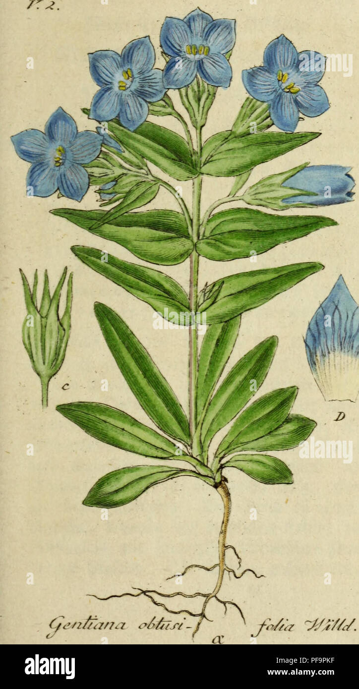 This botanical work presents illustrations of Germany's native plant ...