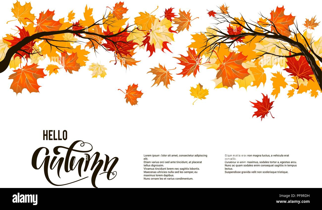 Autumn Stock Vector Images - Alamy