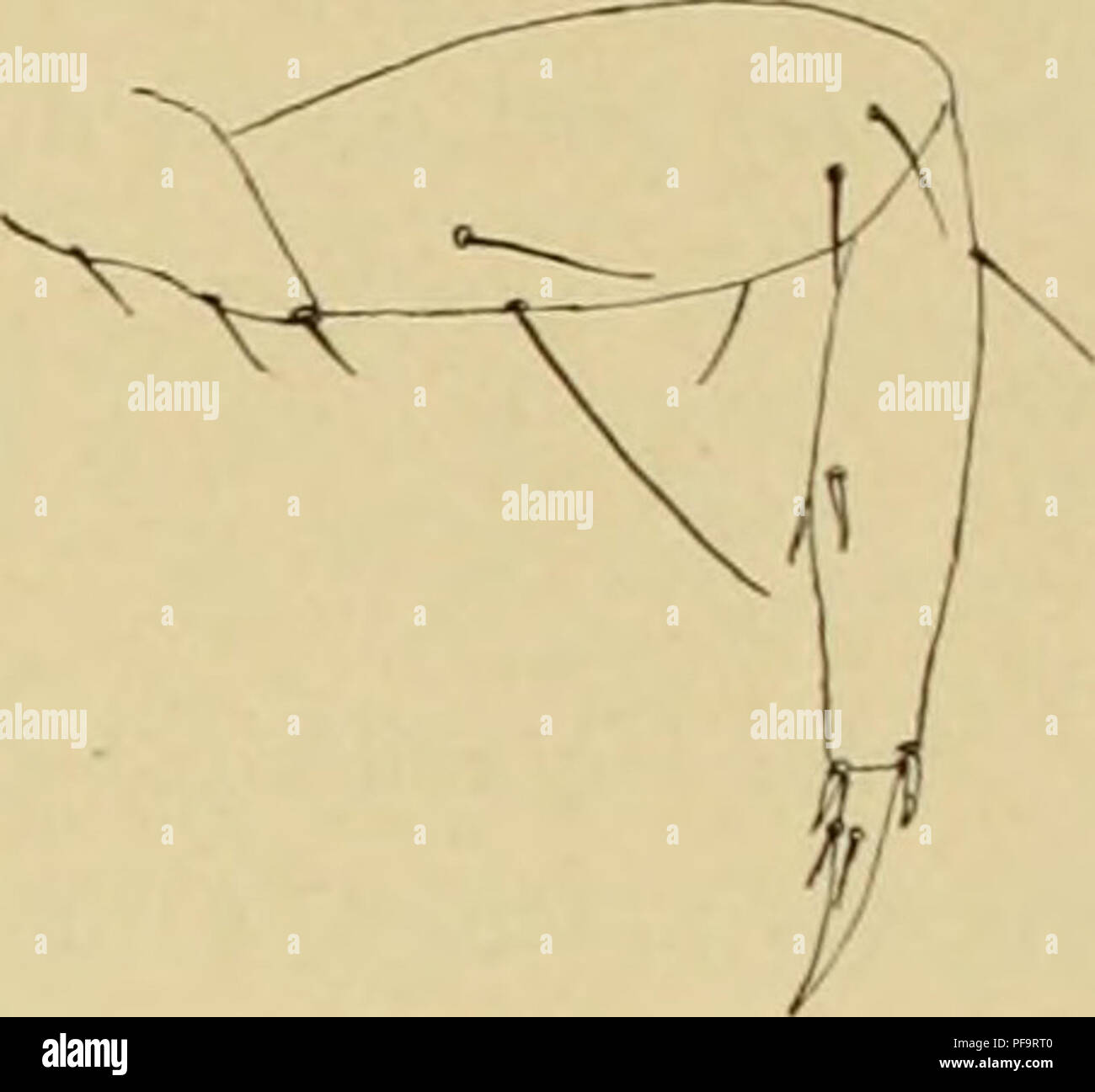 This report from the German South Polar Expedition (1901-1903 ...