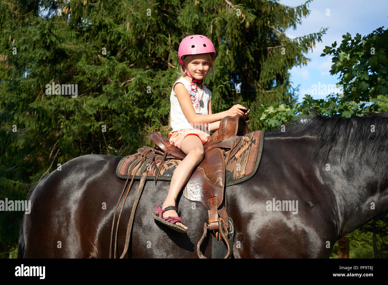 Horseback riding, lovely equestrian - little girl is riding a horse ...