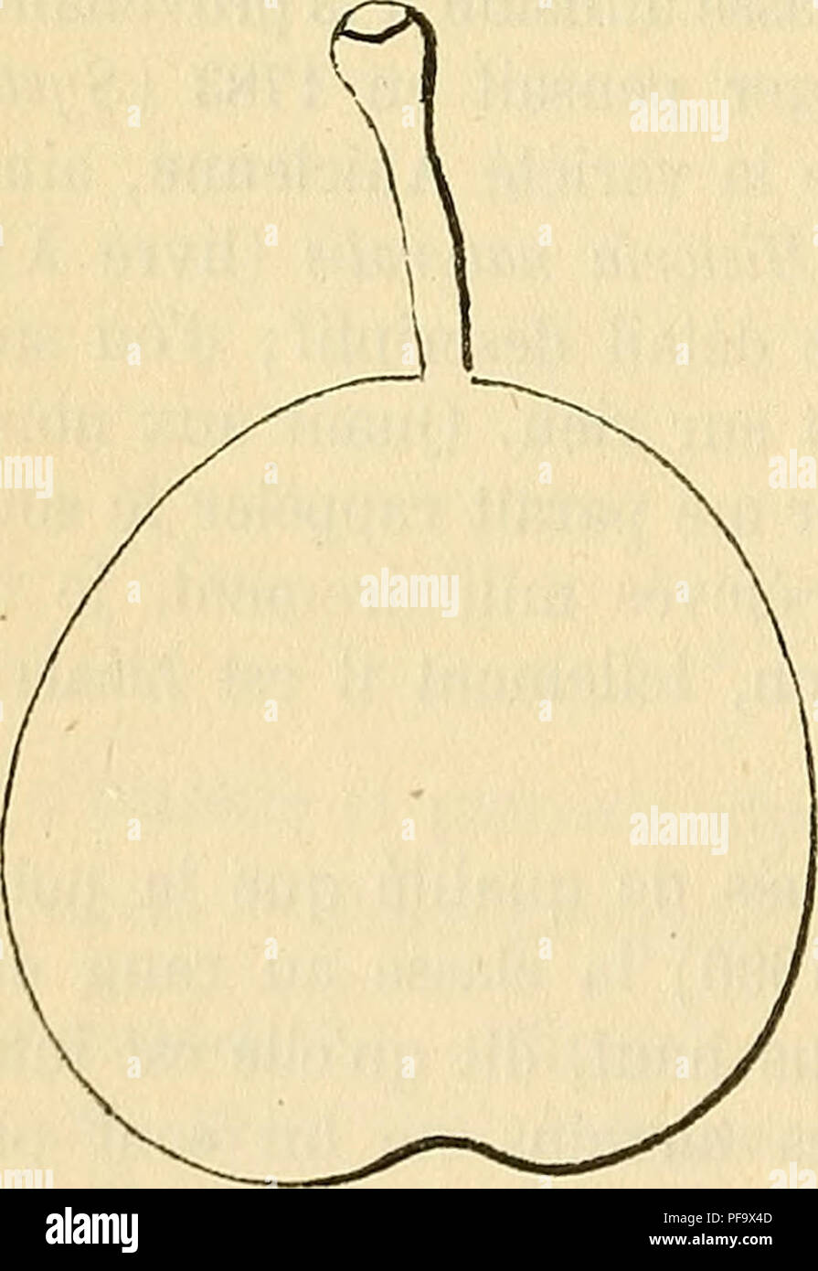 This dictionary of pomology provides comprehensive descriptions of both ...