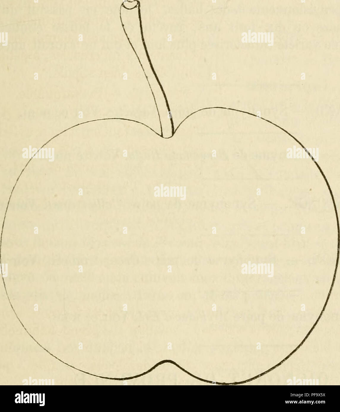 This dictionary of pomology provides a detailed history and description ...