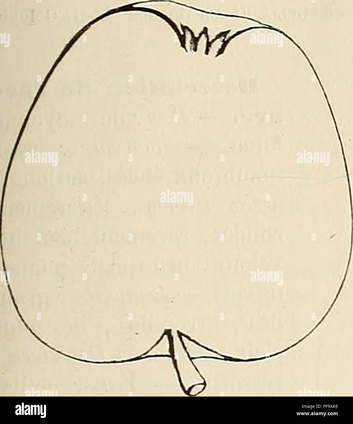 This French dictionary of pomology offers a thorough description and ...