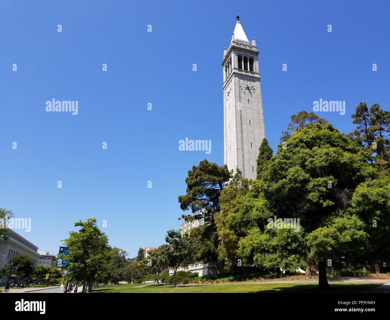 Sather Tower, aka the Campanile, among trees with other campus ...