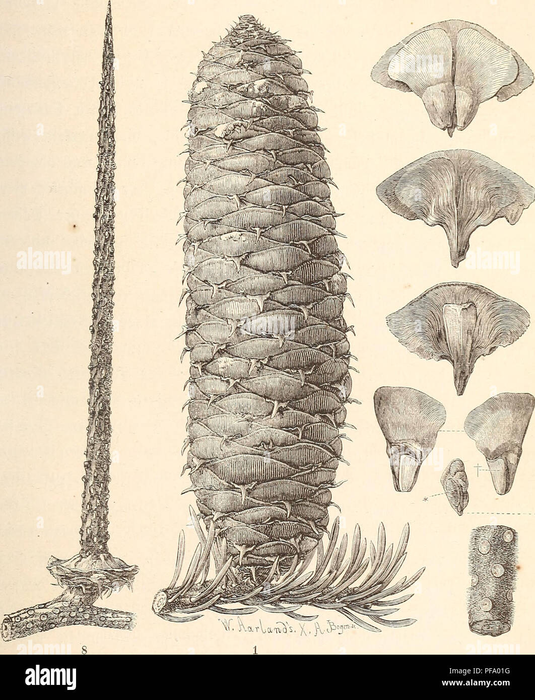 Gta 5 hi-res stock photography and images - Alamy