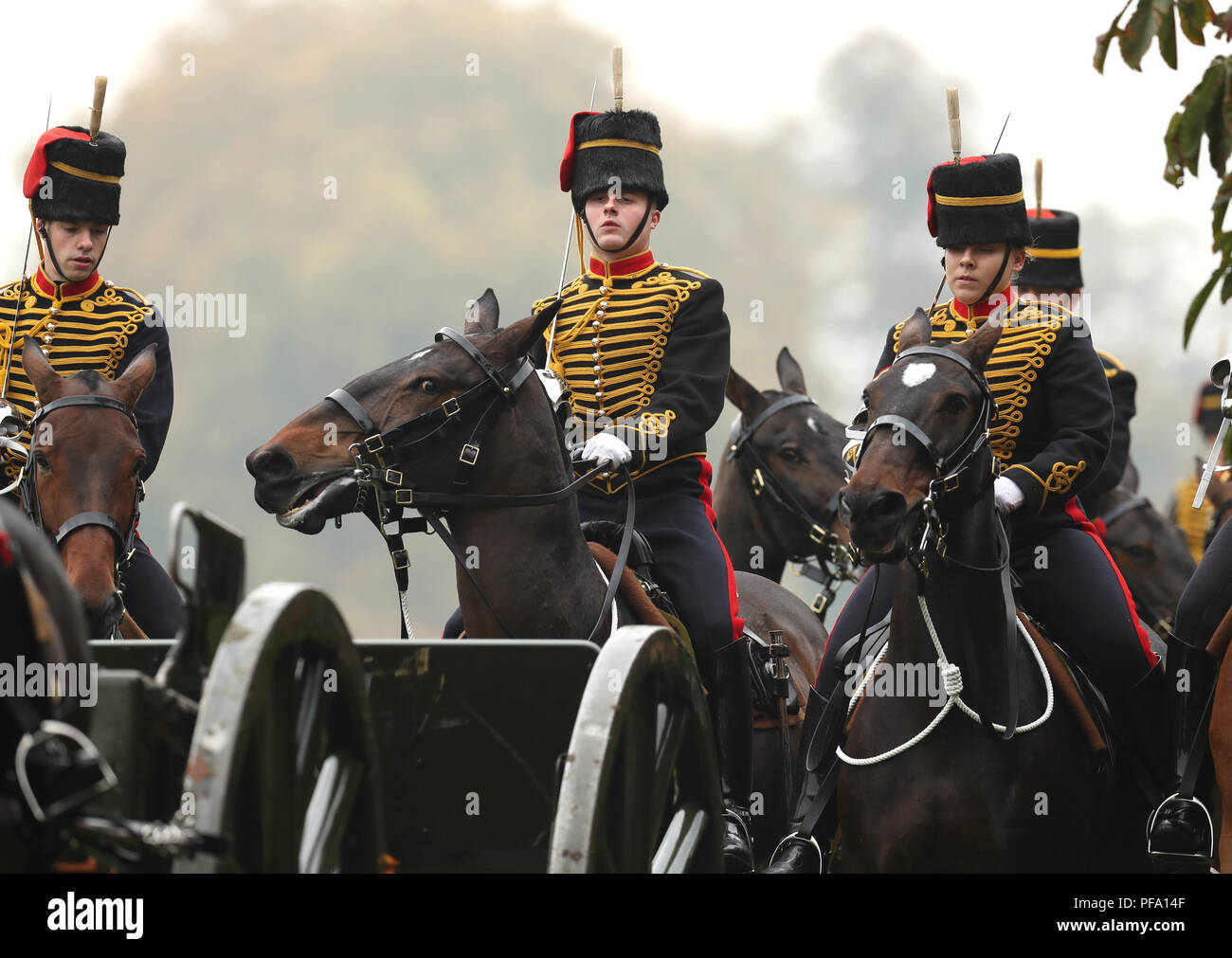 The King's Troop Royal Horse Artillery parade in Hyde Park, London, on ...