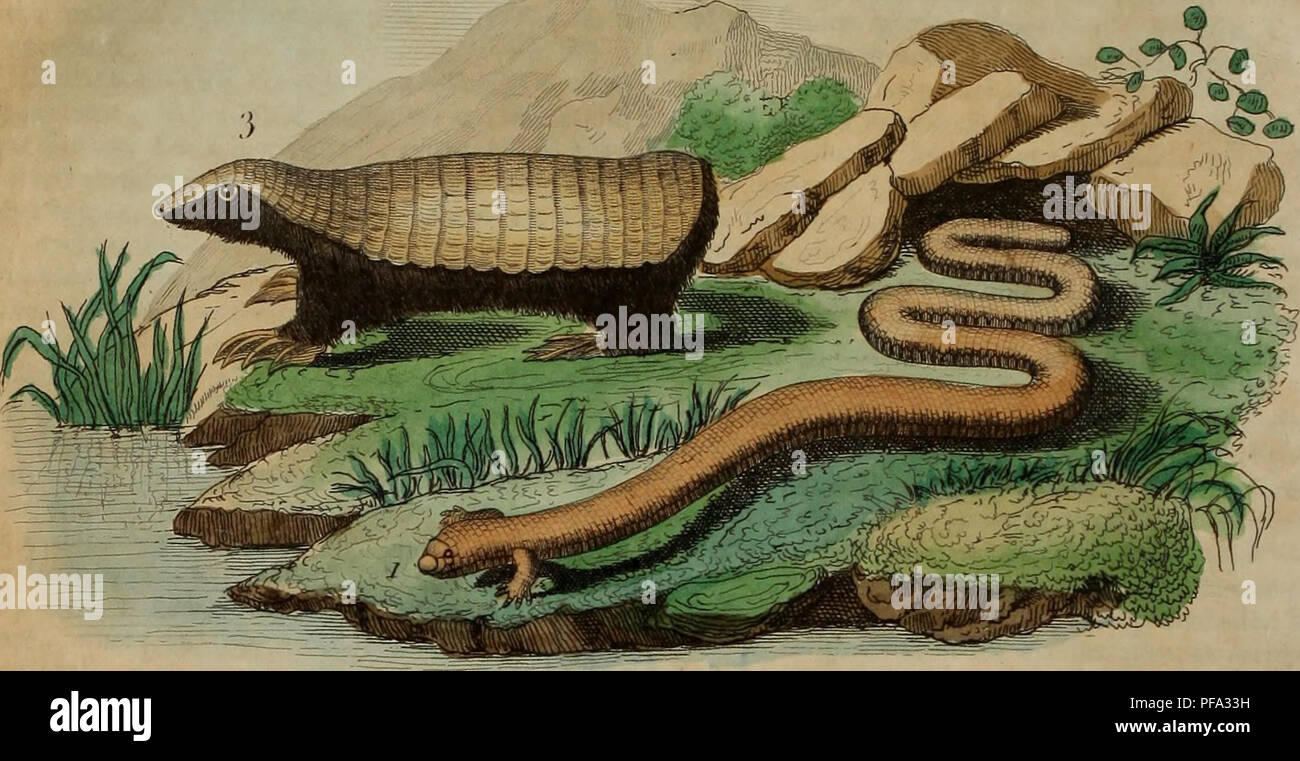 This French dictionary provides a comprehensive overview of natural ...