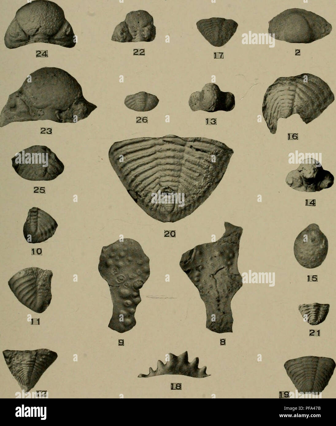 This geological study focuses on the Devonian period in Missouri ...