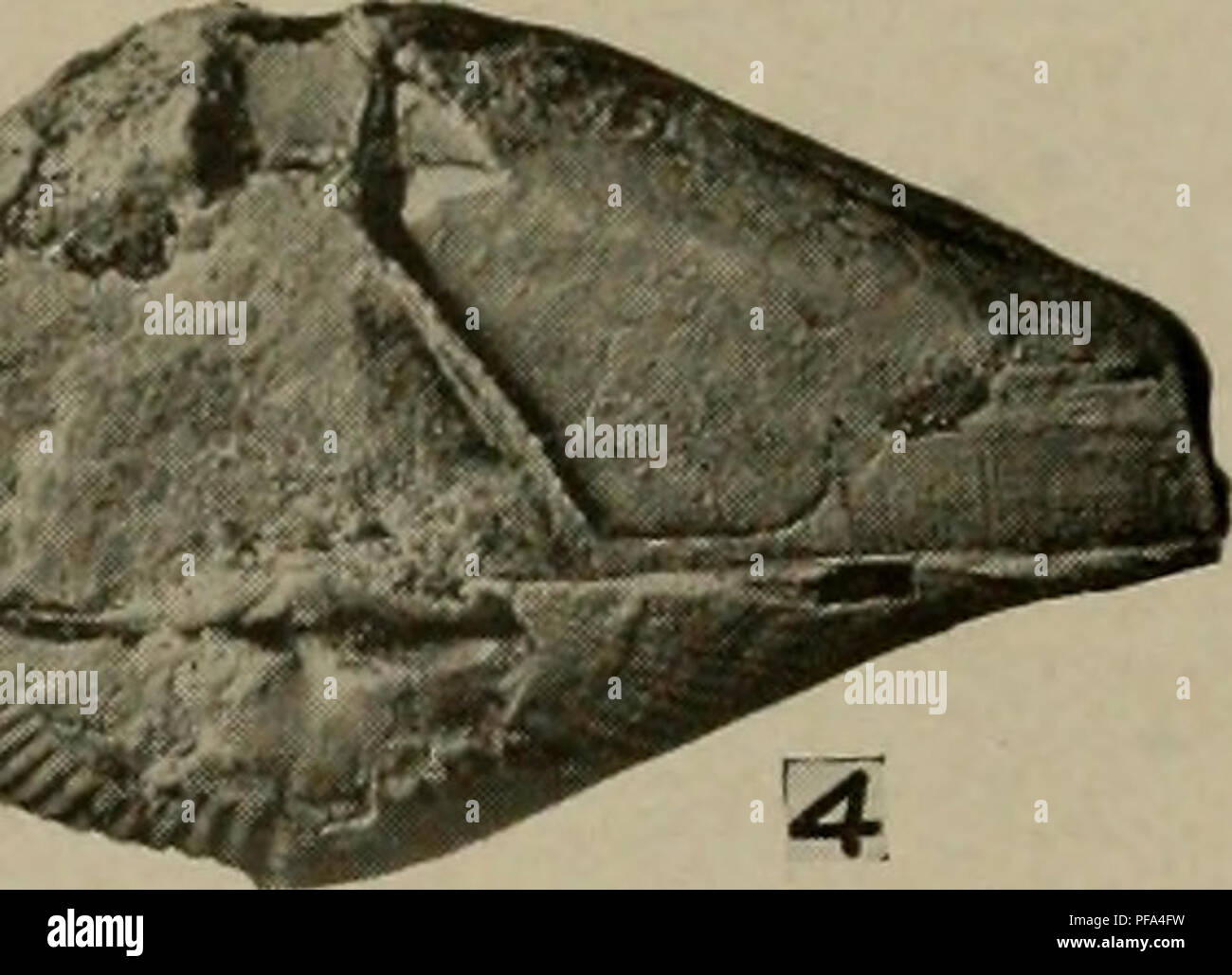 The Devonian period in Missouri is a key focus of this geological study ...