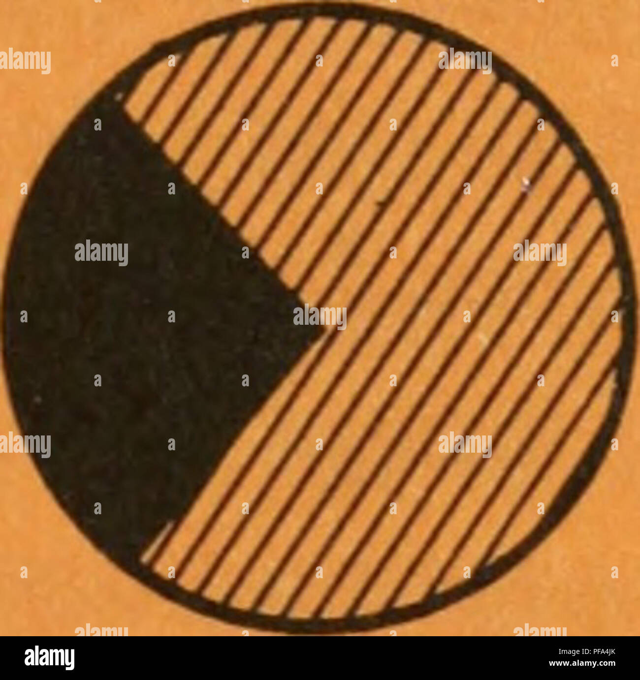 This study examines the damage caused to stored grains in Western ...