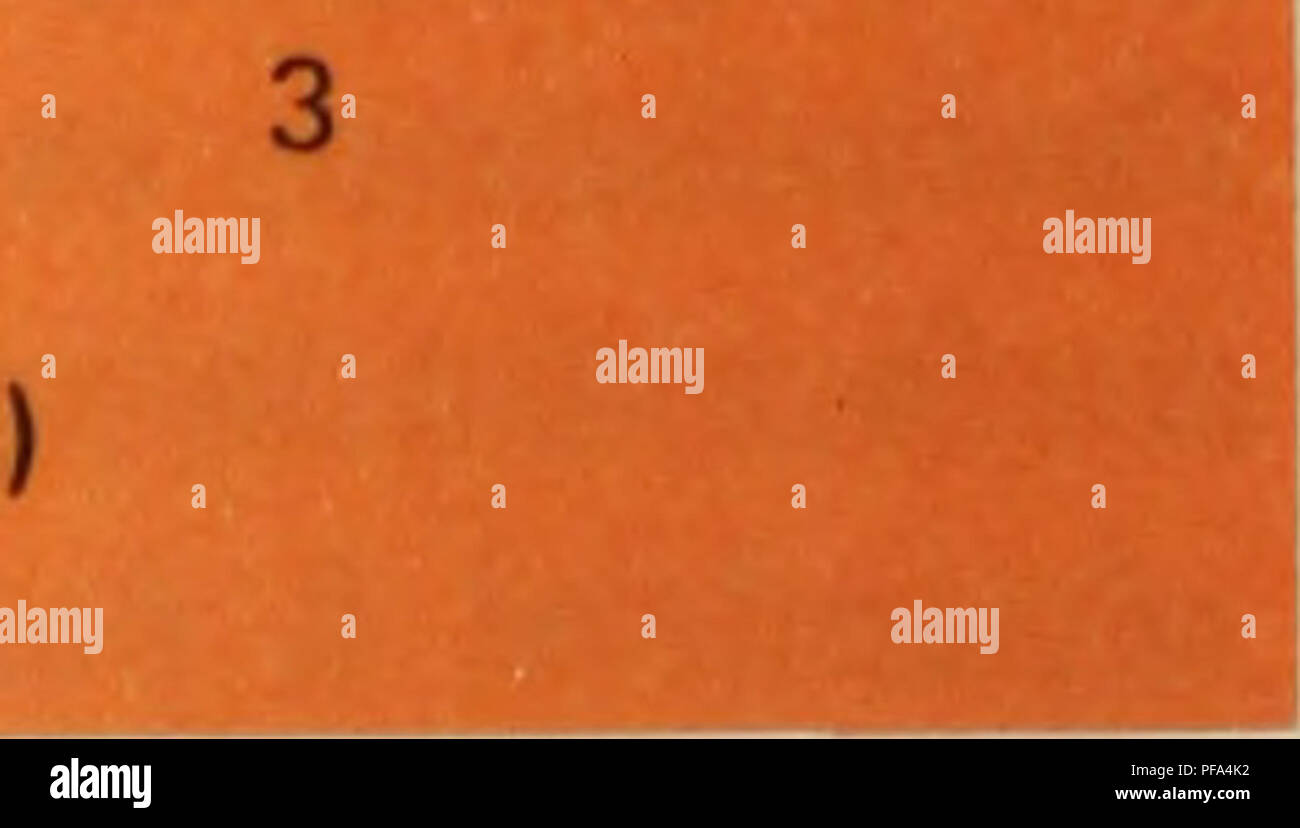 This study examines the damage caused to stored grains by molds ...