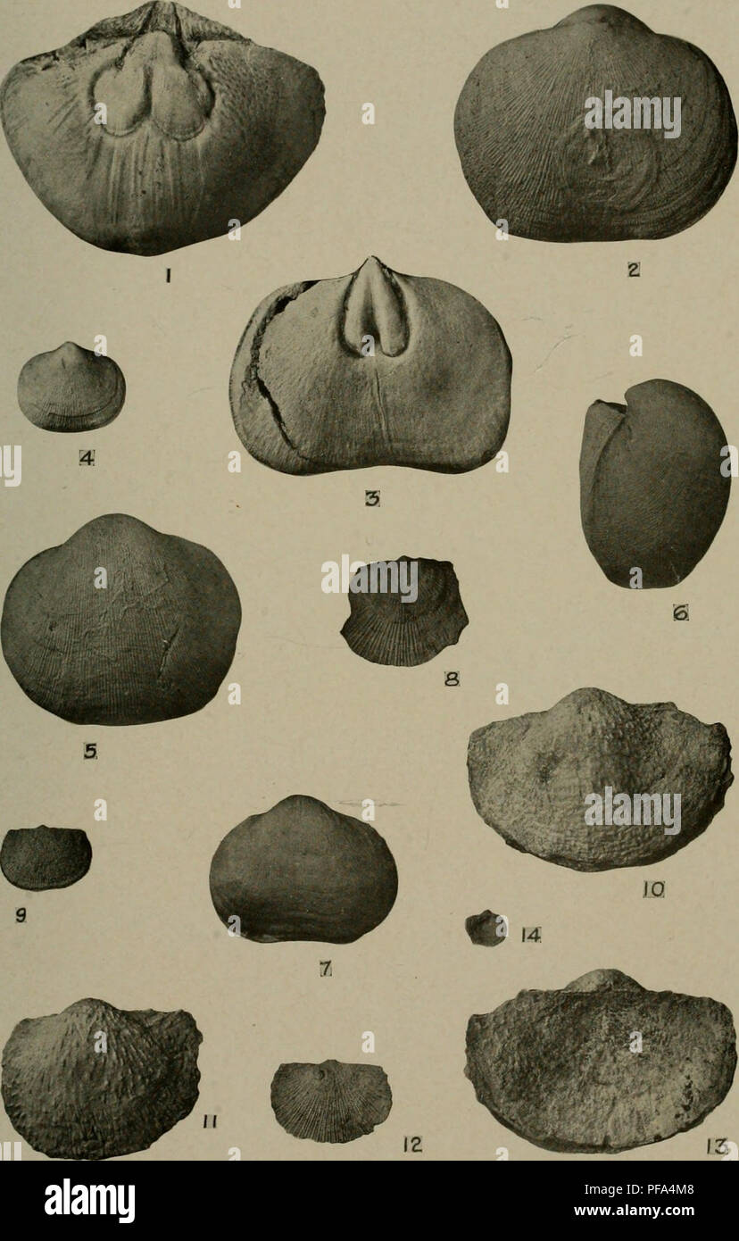 This plate from the Missouri Bureau of Geology and Mines highlights the ...