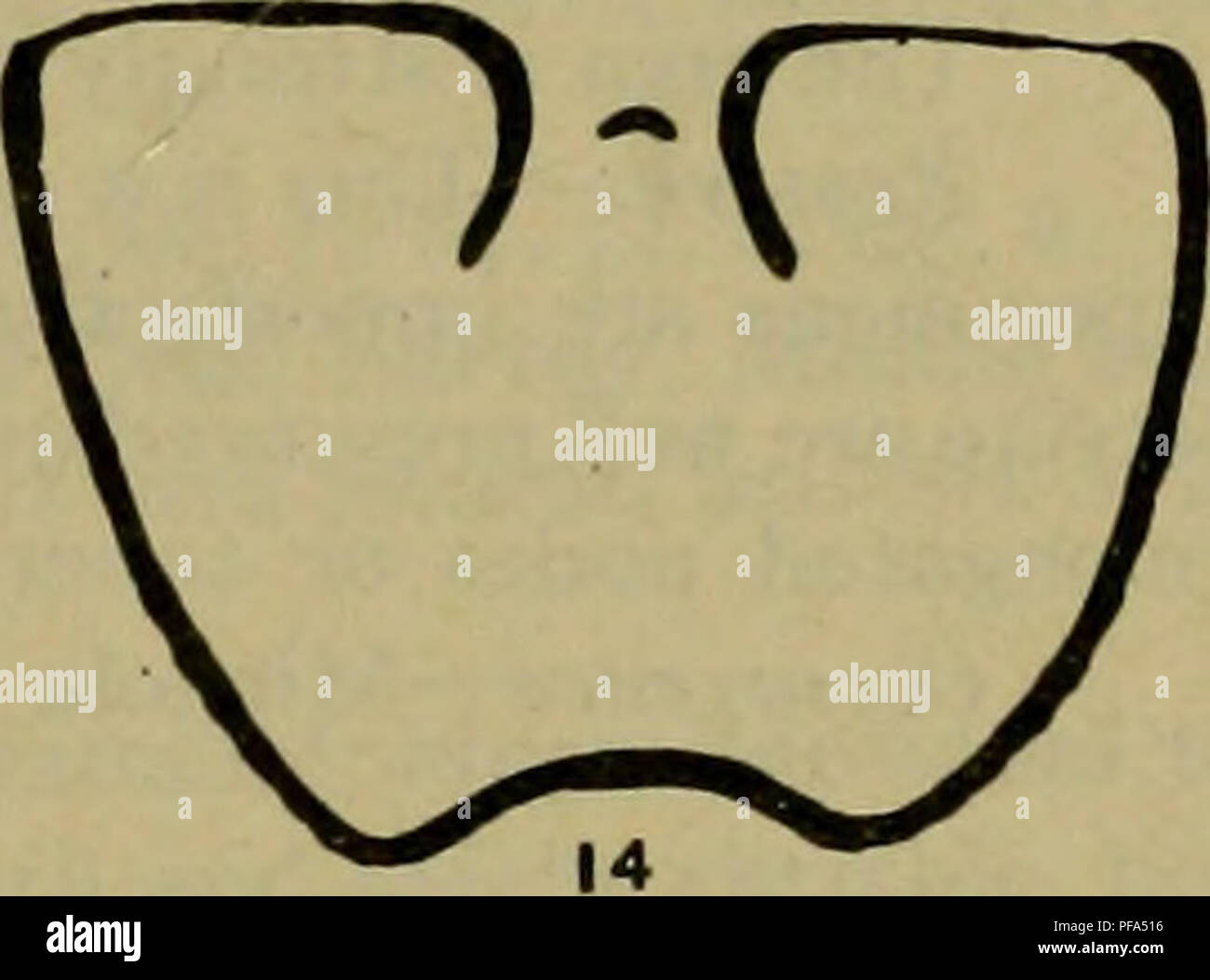 This geological study focuses on the Devonian period in Missouri ...