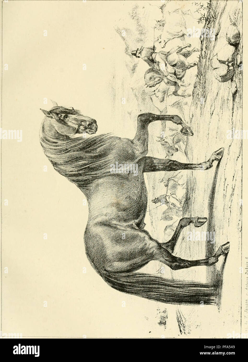 This work compiles comprehensive knowledge on horsemanship and ...