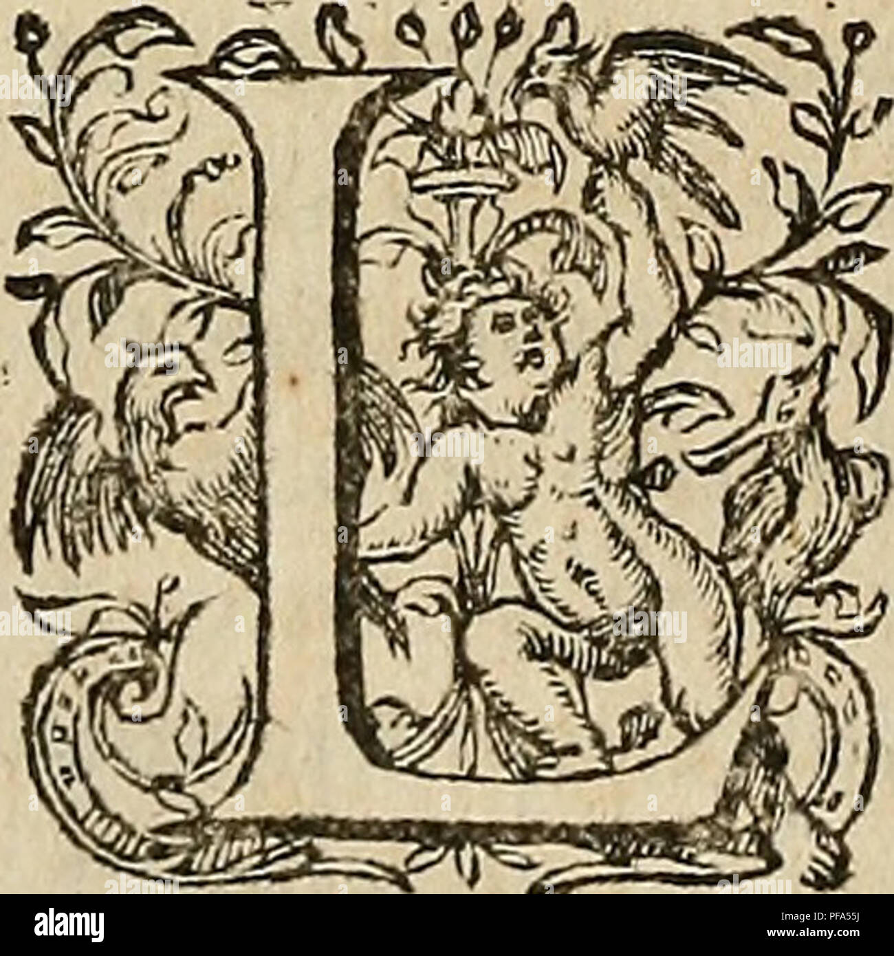 Hom font hi-res stock photography and images - Alamy