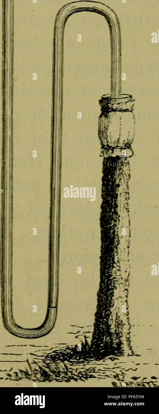 This work discusses plant nutrition and the movement of water within ...