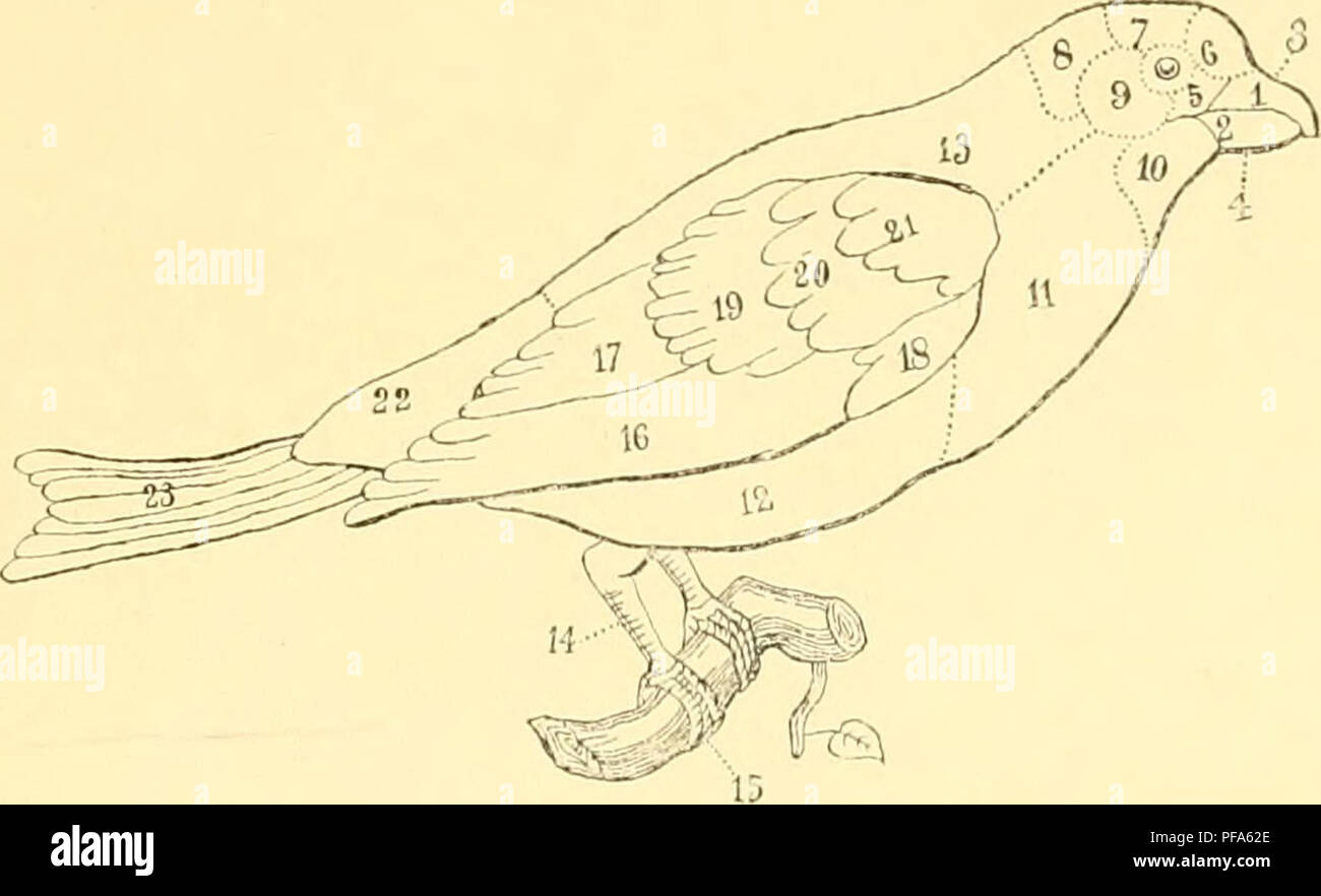 20 rand note hi-res stock photography and images - Alamy